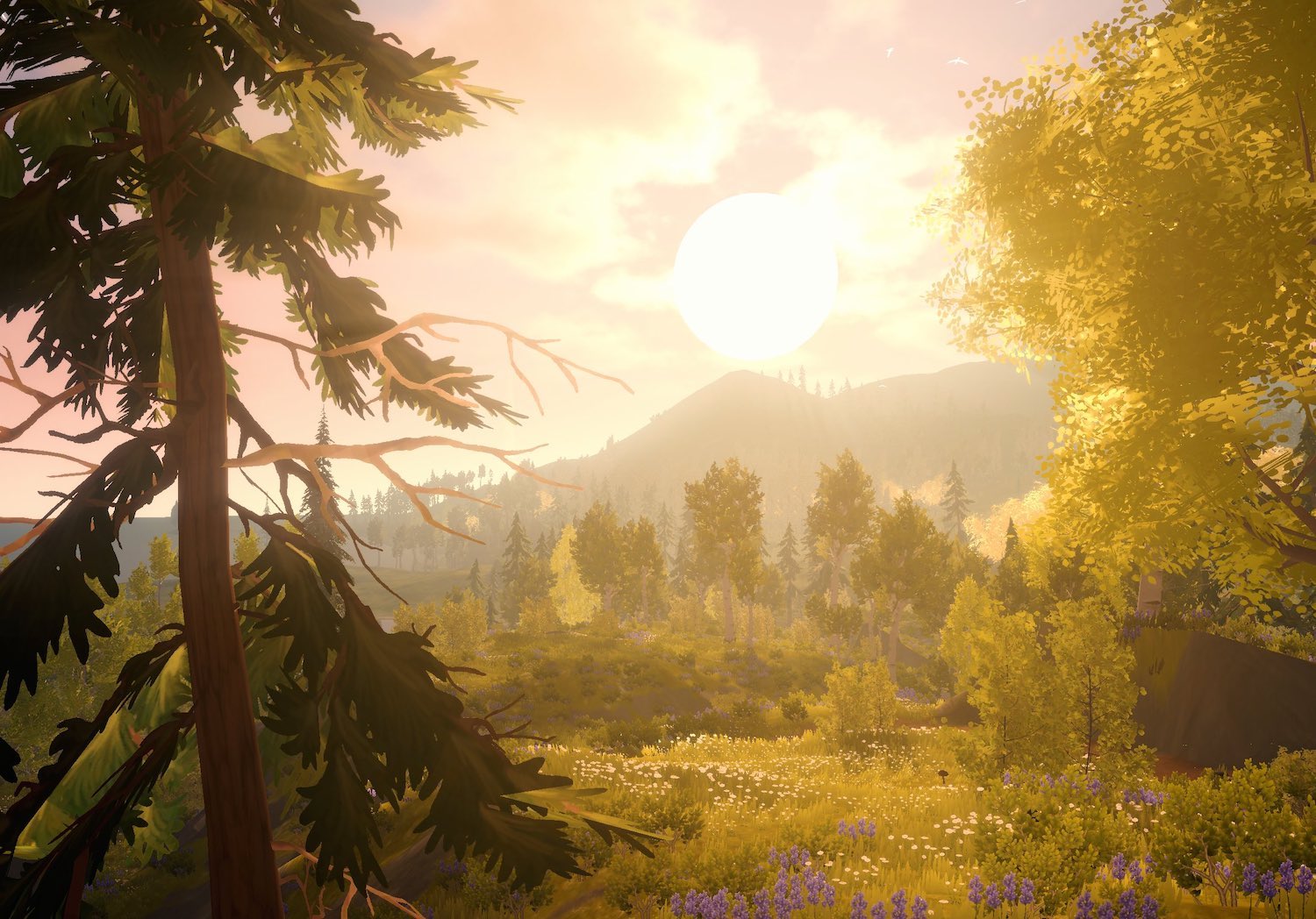 Solo developer Robert Kabwe of Wilderless: "Passion is my great ...